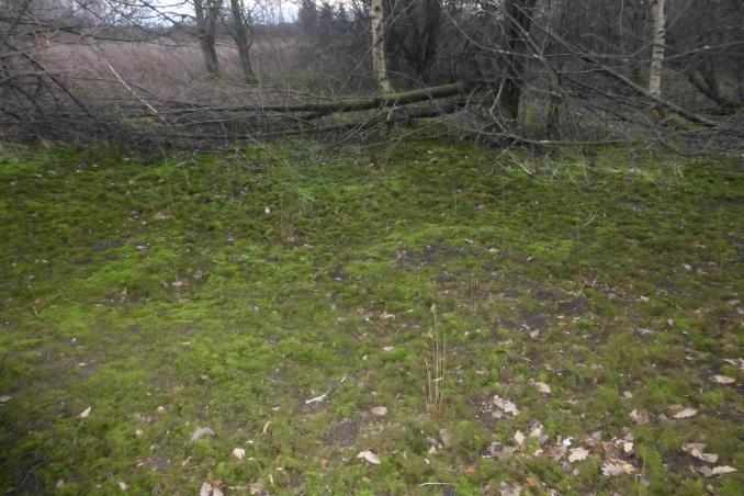 T:UK - Hafod Colliery No 1 Shaft