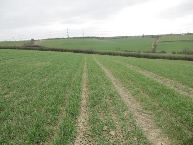 T:UK - Royds Moor Farm