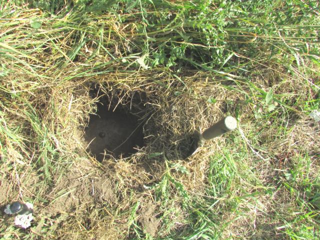 T:UK - Ravenfield Park