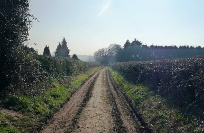 T:UK - Broadlands Farm