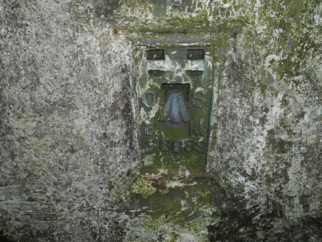 T:UK - G Spinney Field