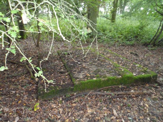 T:UK - G Spinney Field