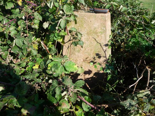 T:UK - Shotley Hall Farm