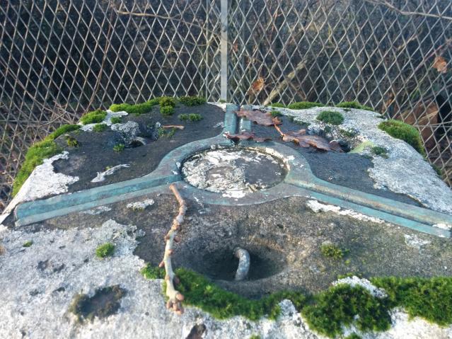 T:UK - High Possil Wood