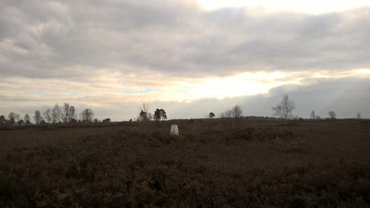 T:UK - Pirbright Common