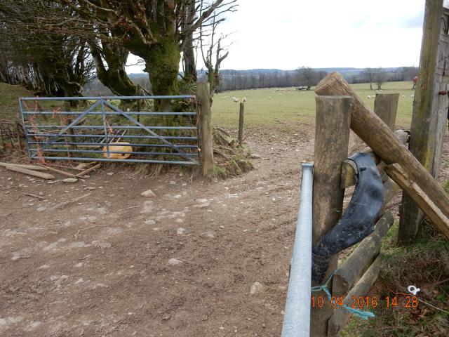 T:UK - East Withy Farm