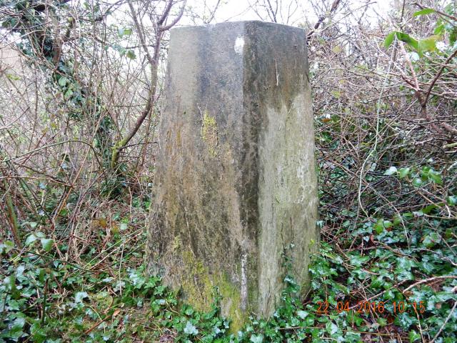 T:UK - Fort Scoveston