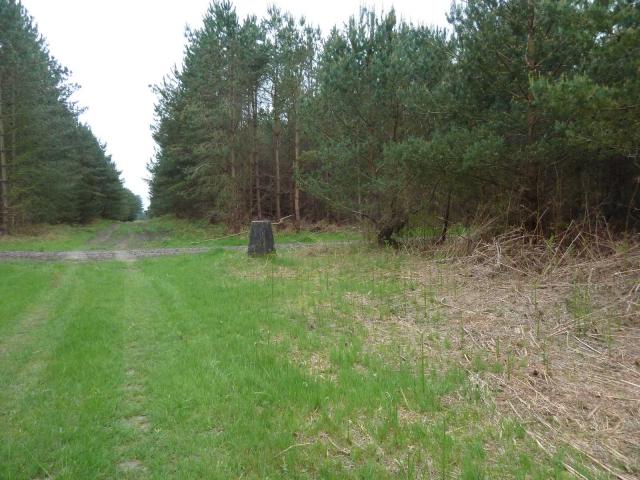 T:UK - Wangford Warren