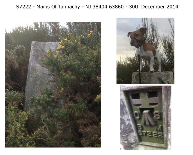 T:UK - Mains Of Tannachy