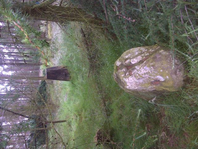 T:UK - Hutton Mulgrave Moor