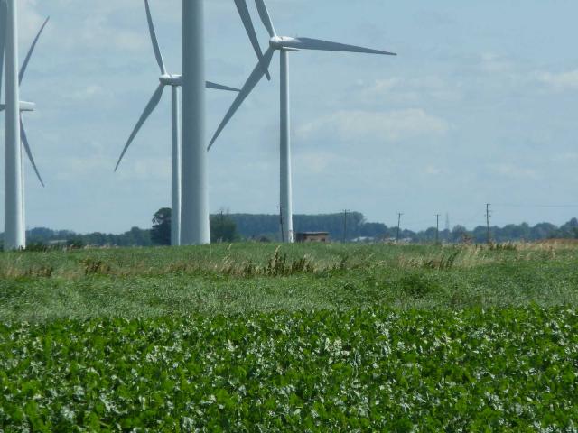 T:UK - Reed Fen Pumping Station