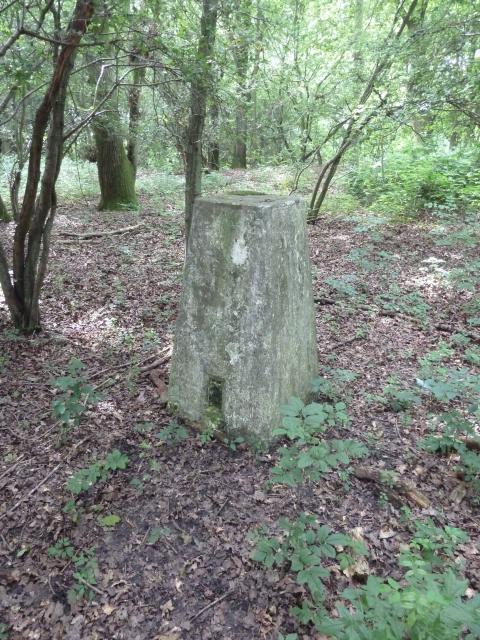 T:UK - G Spinney Field