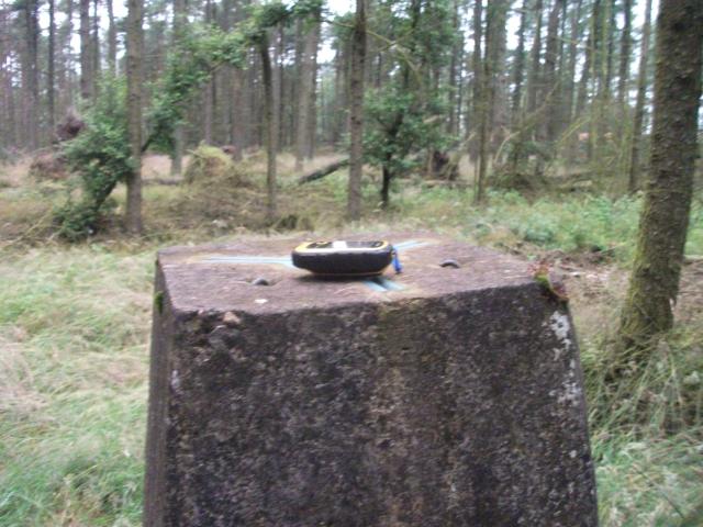 T:UK - Hutton Mulgrave Moor