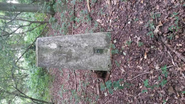 T:UK - G Spinney Field