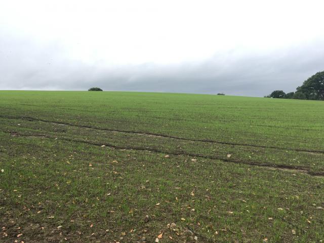 T:UK - Stanley House Farm