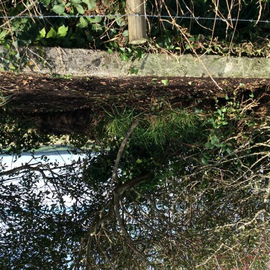 T:UK - Castle Canyke