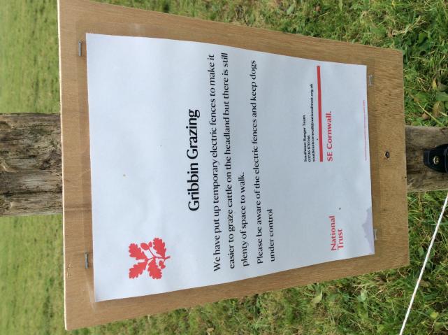 T:UK - Gribbin Head Tower