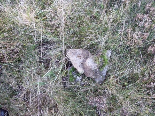 T:UK - Cown Edge Rocks