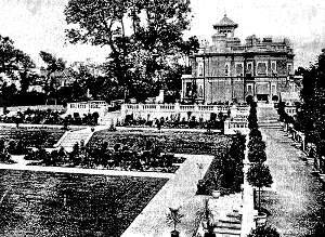 T:UK - Walmer Place Vane