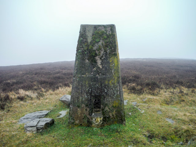 T:UK - Bank House Moor