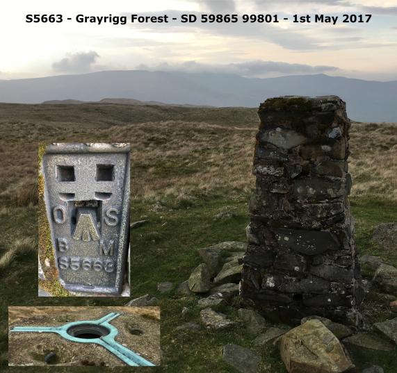 T:UK - Grayrigg Forest