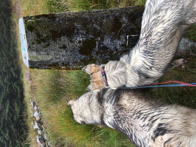 T:UK - Mynydd March Hywel