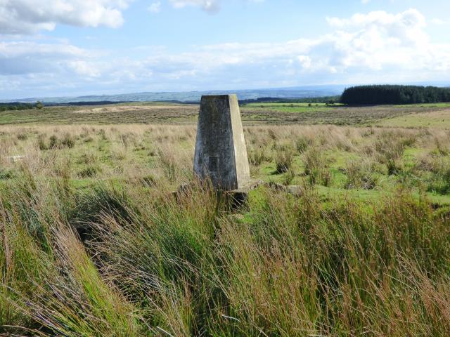 T:UK - Batey Catreen