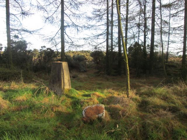 T:UK - Hutton Mulgrave Moor