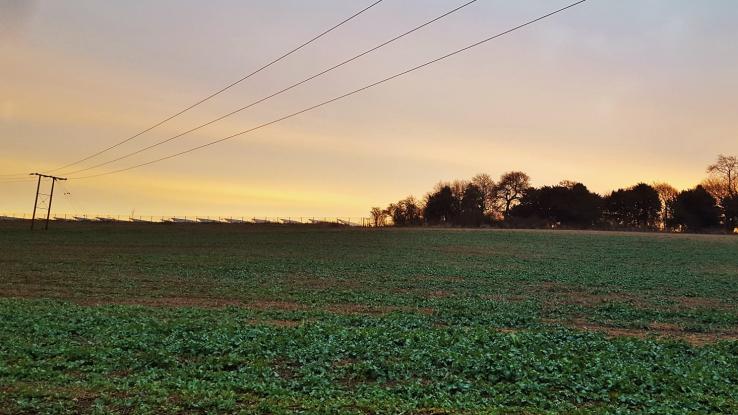 T:UK - Raventhorpe Farm