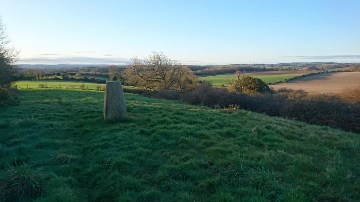 T:UK - Damerham Knoll