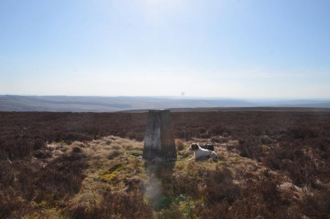 T:UK - Berrymoor Edge