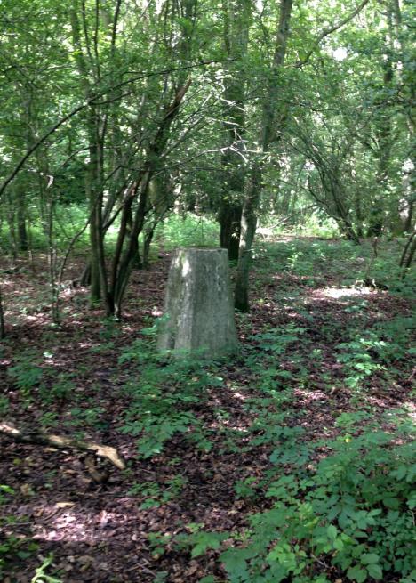 T:UK - G Spinney Field