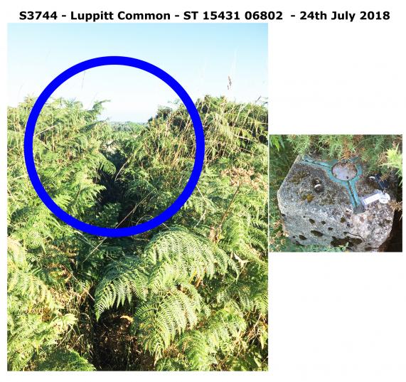 T:UK - Luppitt Common