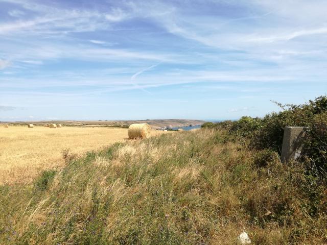 T:UK - St Albans Head