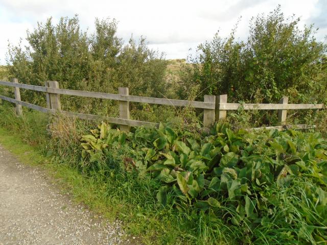 T:UK - Marshside Sands