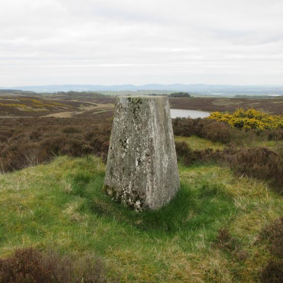 T:UK - Cochrage Muir