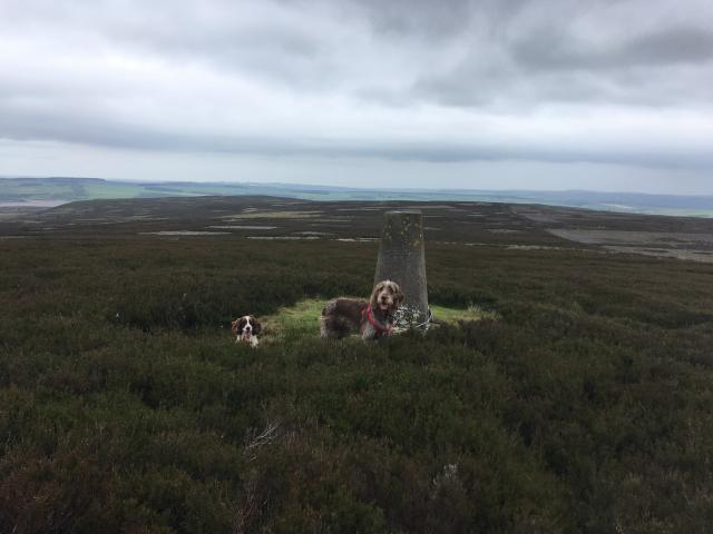 T:UK - Roughside Moor