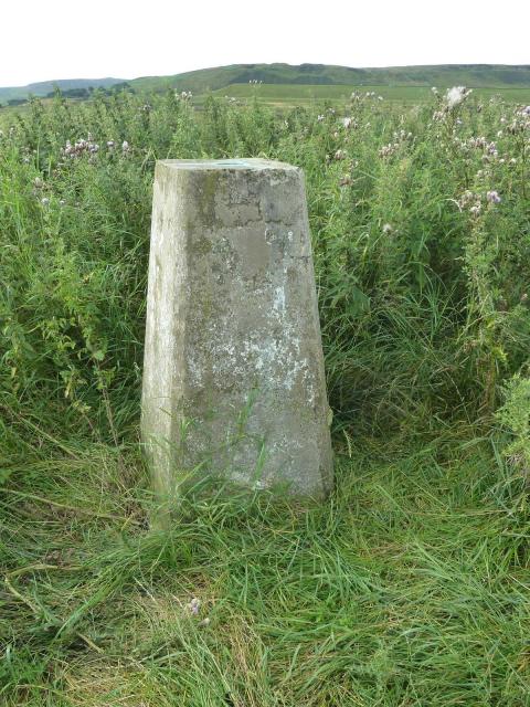 T:UK - Lingards Wood