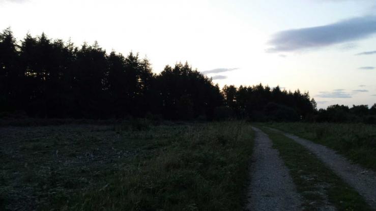 T:UK - Hutton Mulgrave Moor