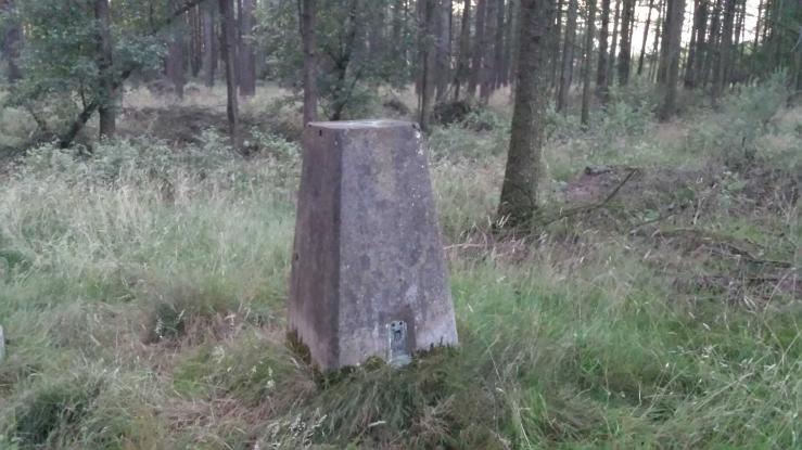 T:UK - Hutton Mulgrave Moor