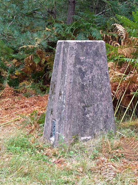 T:UK - Wangford Warren