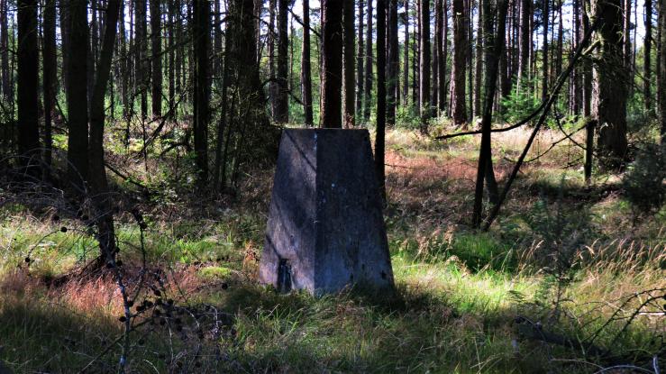 T:UK - Hutton Mulgrave Moor