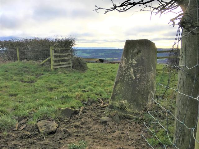 T:UK - Broomfield Farm