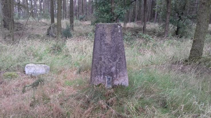 T:UK - Hutton Mulgrave Moor