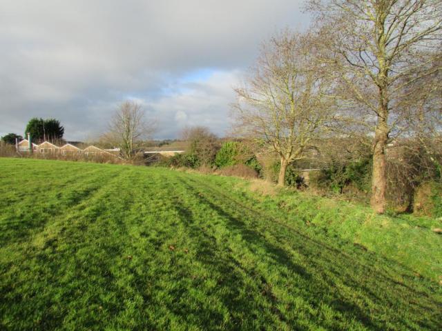 T:UK - Springfield Farm