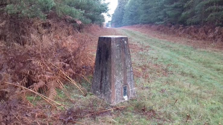 T:UK - Wangford Warren