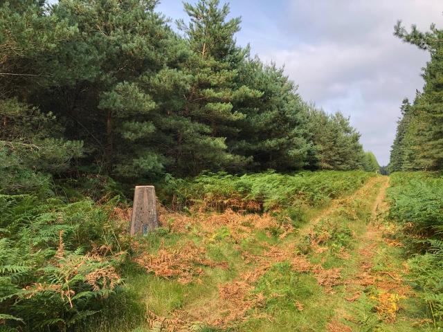 T:UK - Wangford Warren