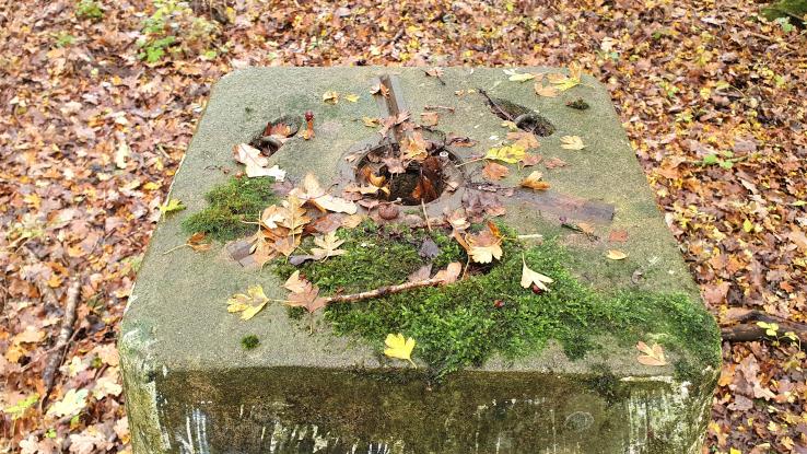 T:UK - G Spinney Field