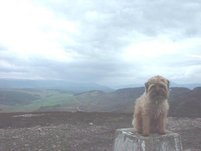 T:UK - Tom Bailgeann