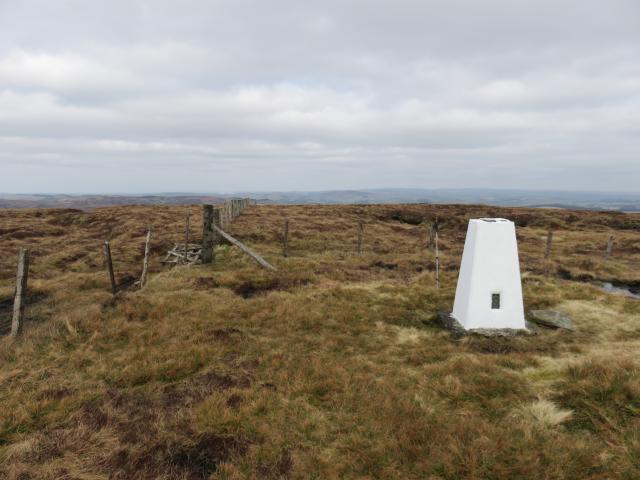 T:UK - Windlestraw Law